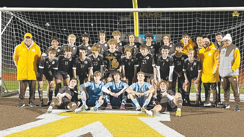 Rochester Adams soccer’s ‘phenomenal season’ scores first state title ...