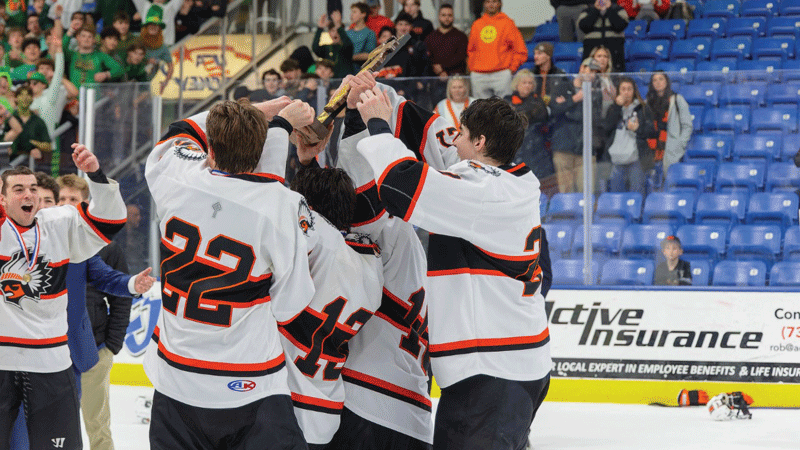 Brother Rice hockey back on top, wins state title