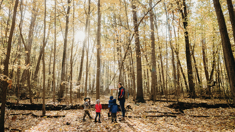 Nature-based learning on the rise in Michigan
