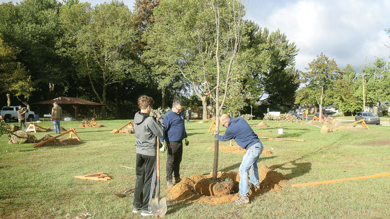 Center Line planting 40 trees in October