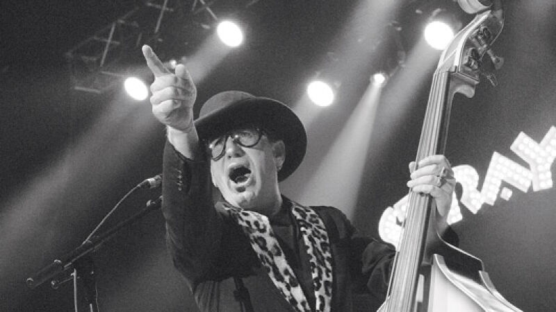 Playing double bass is up this cat’s alley