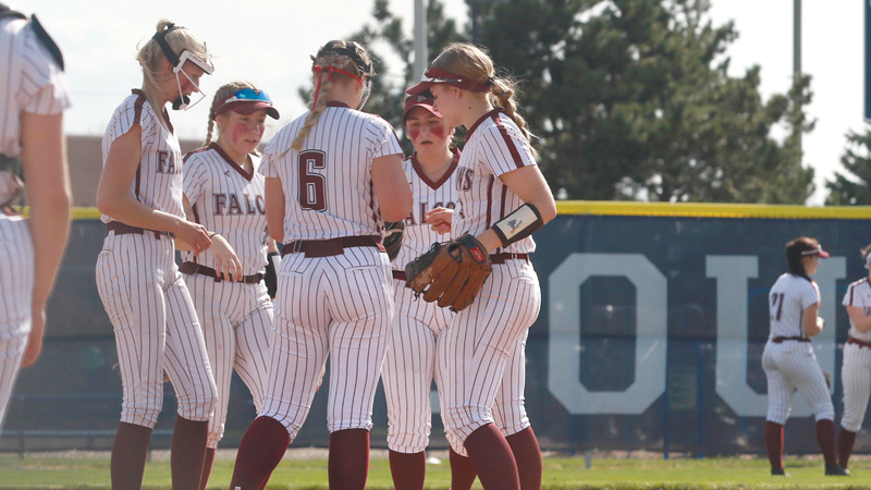 Falcons softball reloads, muscles up for upcoming season