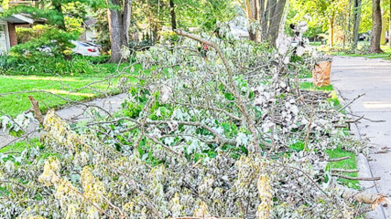 Southfield declares a State of Emergency due to severe storms ...