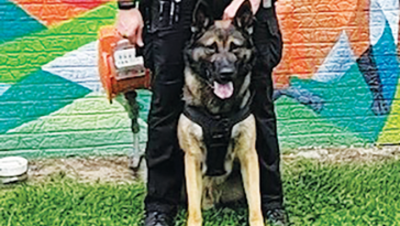 Meet the daring dogs of local K-9 units