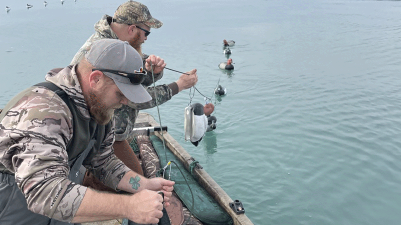 Diver hunting set to populate Lake St. Clair as duck season approaches