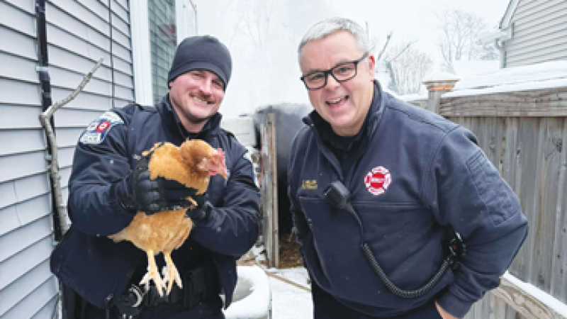 Berkley public safety officers save chickens, home from fire