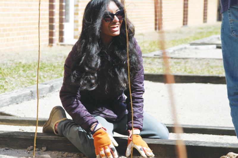 Warren takes step toward bringing first microforest to life