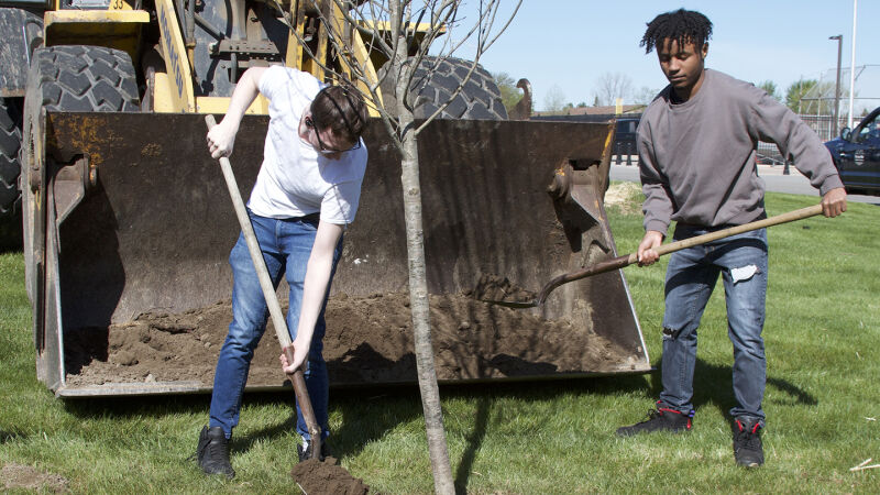 High school students, DPS beautify Normal Street in Roseville